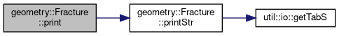NLMech: geometry::Fracture Class Reference