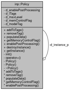NLMech: inp::Policy Class Reference